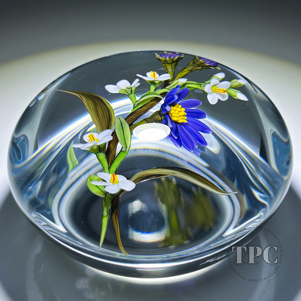 Chris Buzzini 1997 Glass Art Paperweight Flamework Interwoven Flower B