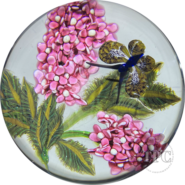 William Manson 2025 Glass Art Paperweight Flamework Pink Lilac with Bu
