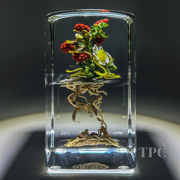 Paul Stankard Glass Art Paperweight Flamework Bontanical Sculptural Bl