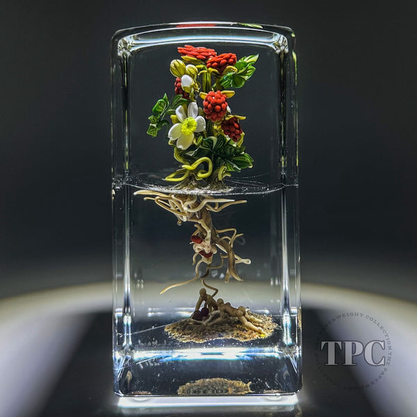 Paul Stankard Glass Art Paperweight Flamework Bontanical Sculptural Bl