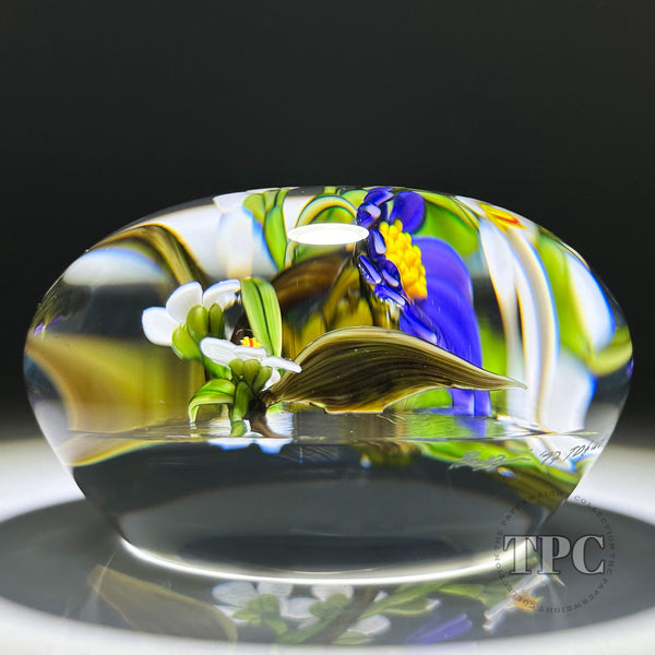 Chris Buzzini 1997 Glass Art Paperweight Flamework Interwoven Flower B