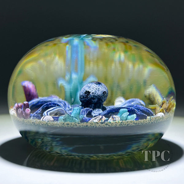 William Manson 2025 Glass Art Paperweight Flamework Blue Octopus on Se