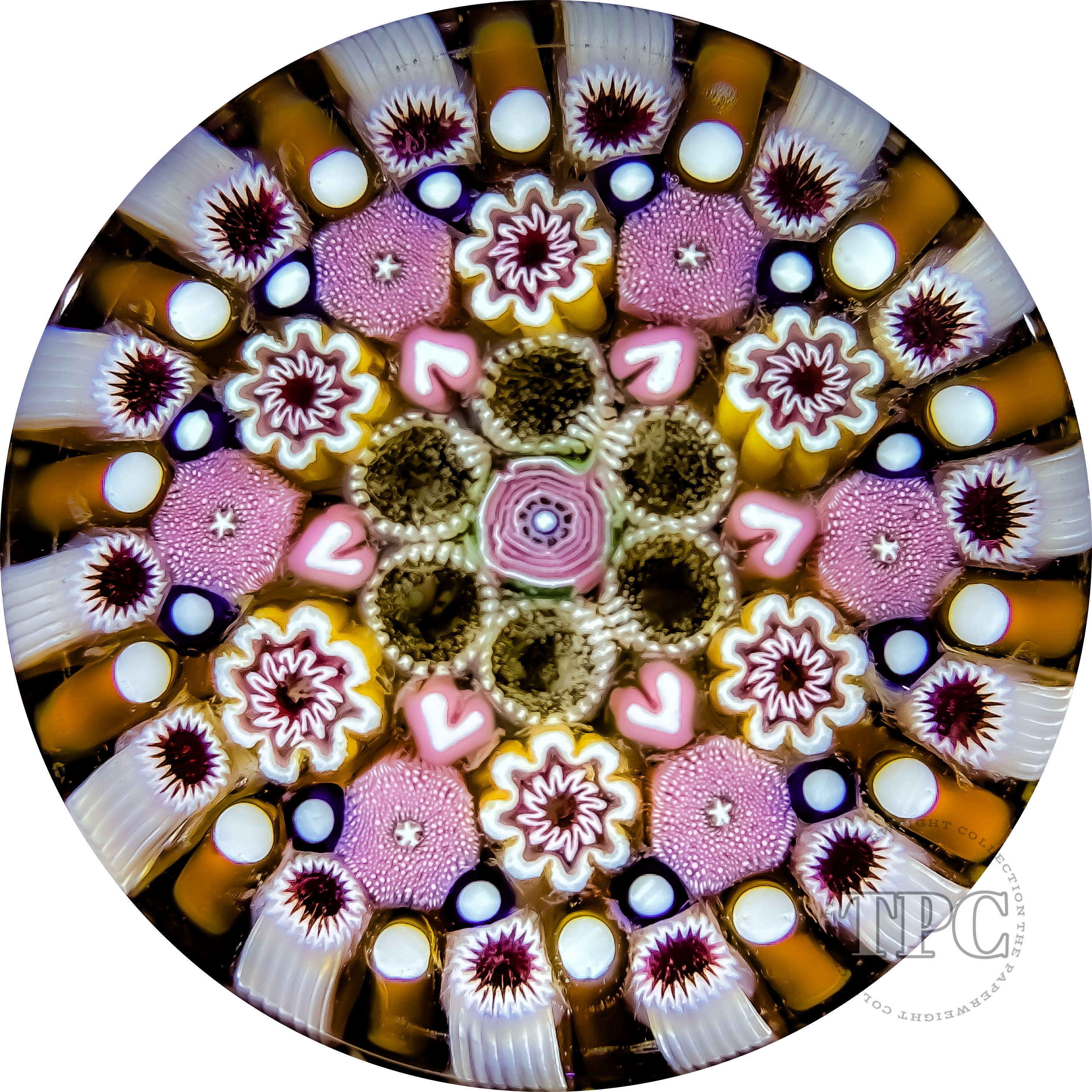 Damon MacNaught 2024 Glass Art Paperweight Concentric Complex Millefio