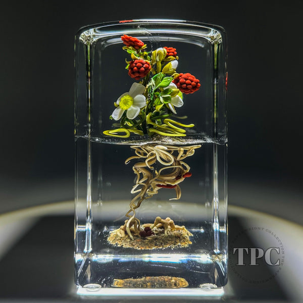 Paul Stankard Glass Art Paperweight Flamework Bontanical Sculptural Bl