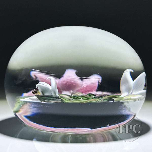 William Manson 2025 Glass Art Paperweight Flamework Pink & White Lilii