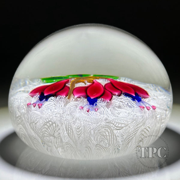 John Deacons Glass Art Paperweight Flamework Fuchsia on Upset White Mu