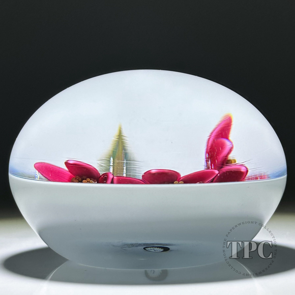 William Manson 2024 Glass Art Paperweight Flamework on Opaque White Gr