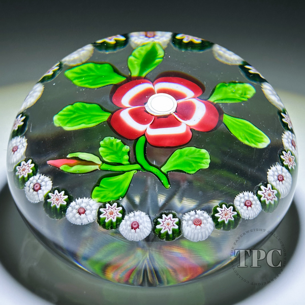 Antique Baccarat Glass Art Paperweight Lampwork Red & White Primrose w