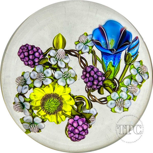 Latest Additions: The Stunning Paperweight Collection Unveiled Page 2