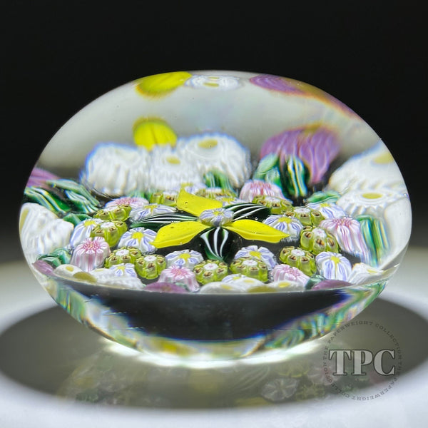 Drew Ebelhare & Sue Fox 2019 Glass Art Paperweight Flamework Complex P