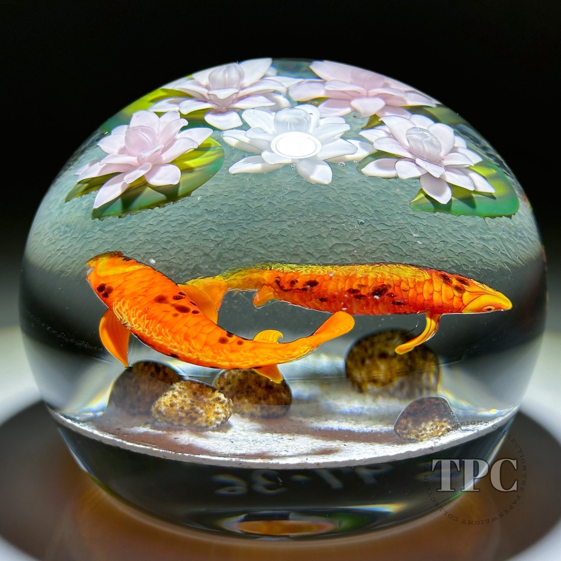 Latest Additions: The Stunning Paperweight Collection Unveiled