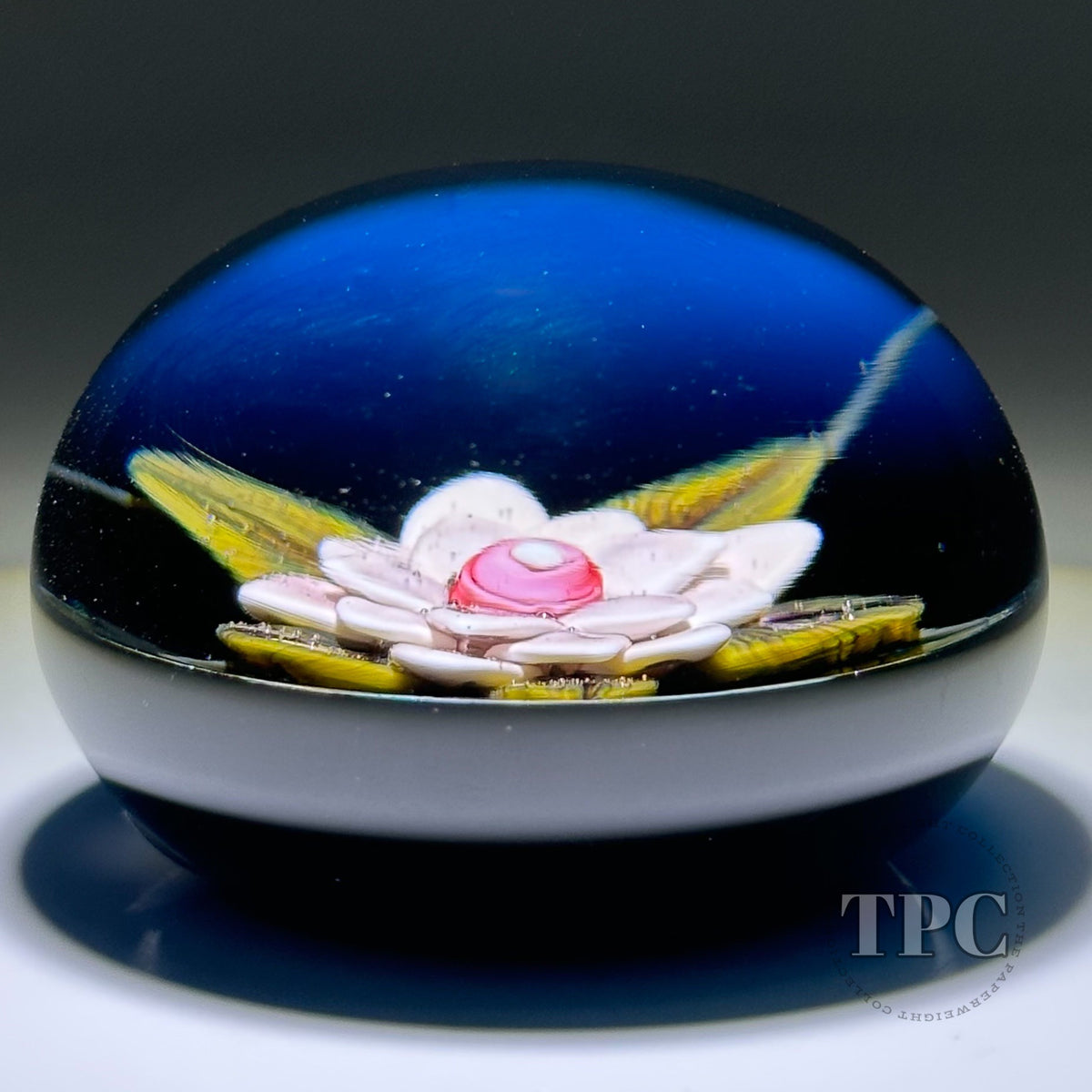William Manson 2022 Art Glass Paperweight Flamework Pink Clematis on D