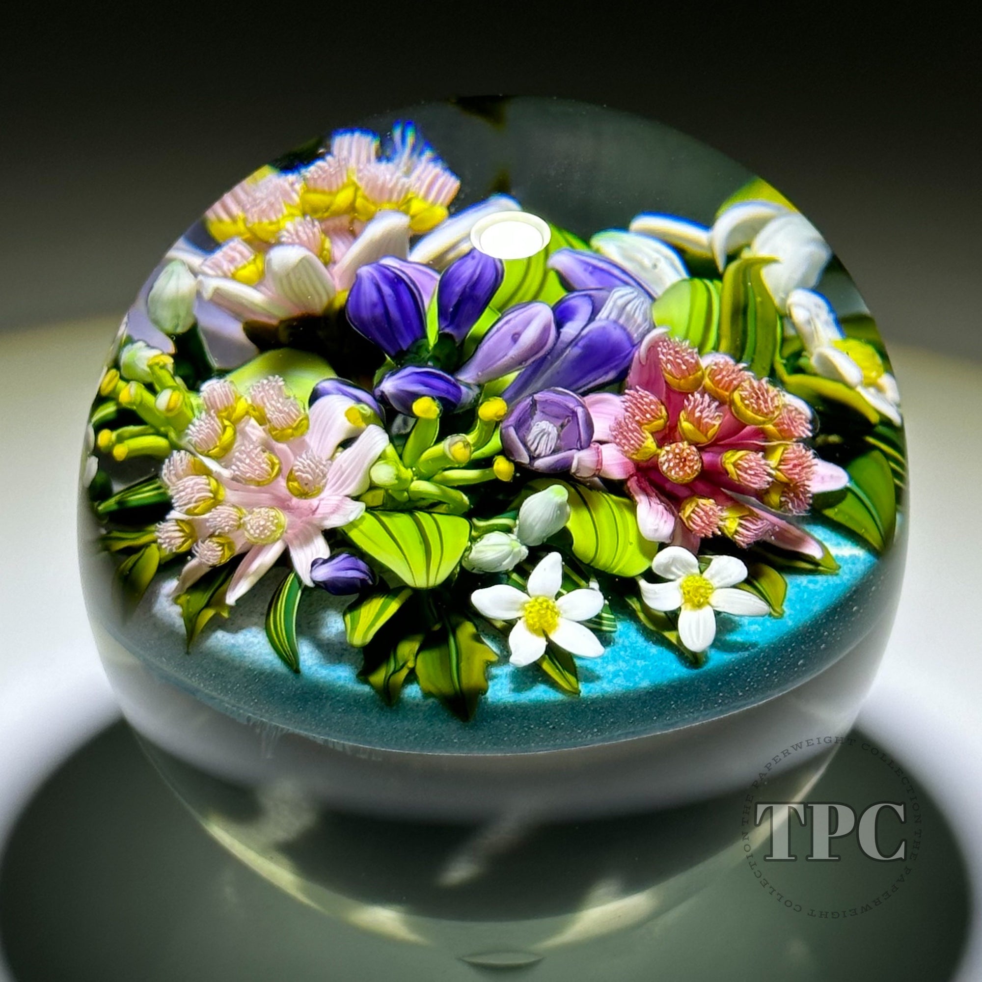 Cathy Richardson 2023 Glass Art Paperweight Flamework Pink Astrantia B