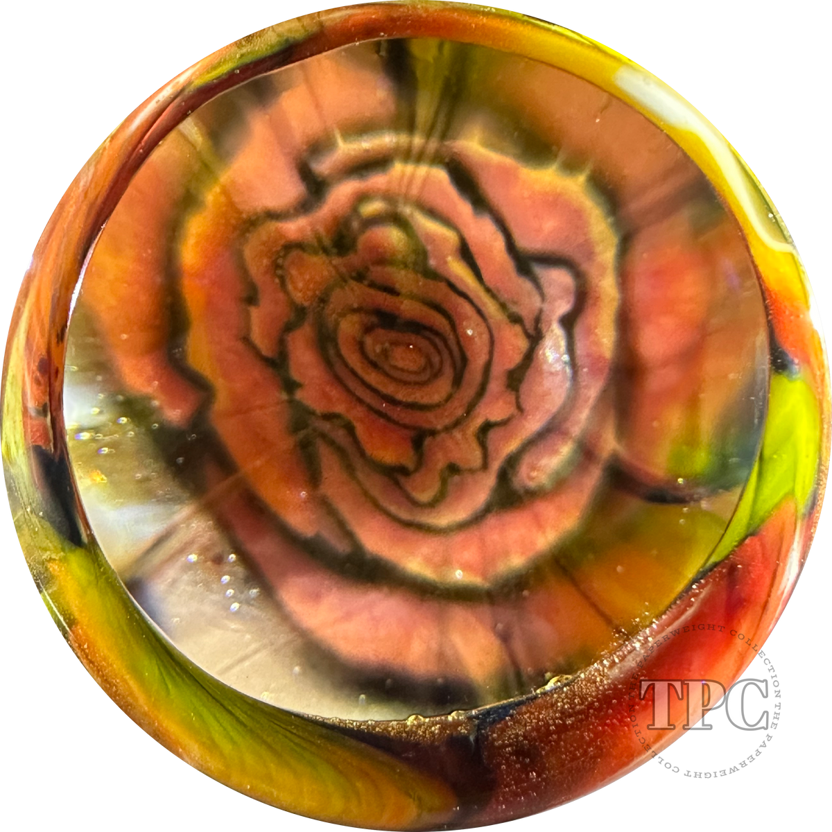 Robert Koch 2023 Glass Art Marble Rose Vortex with Numerous Complex Mu