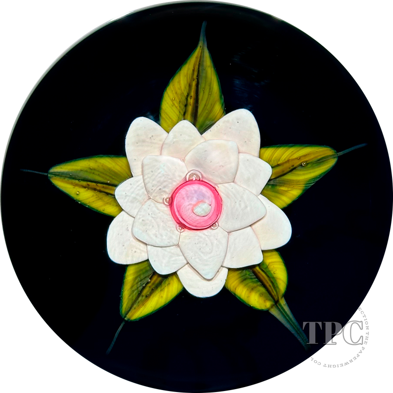 William Manson 2022 Art Glass Paperweight Flamework Pink Clematis on D
