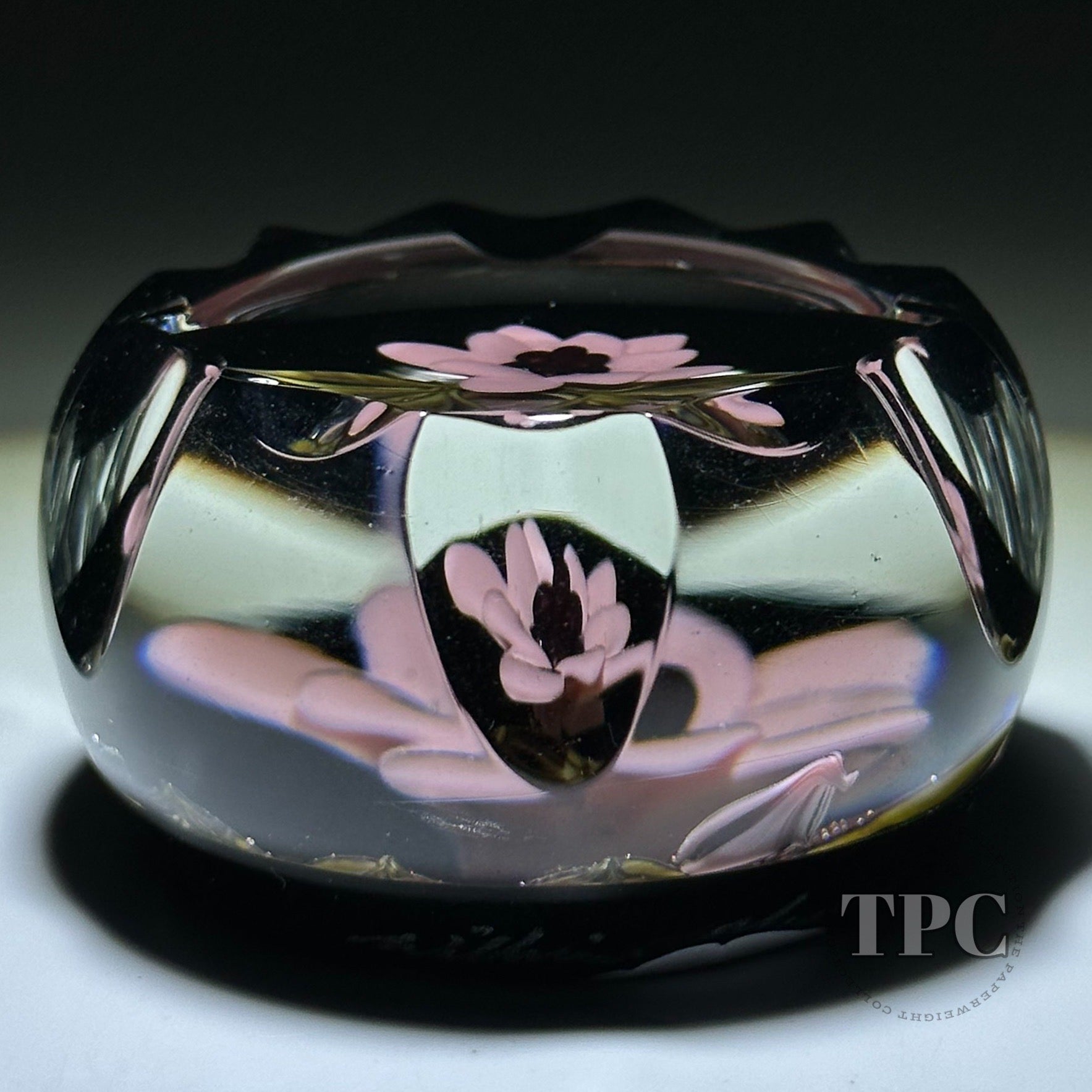 William Manson 2023 Art Glass Paperweight Flamework Mauve Colored Flow