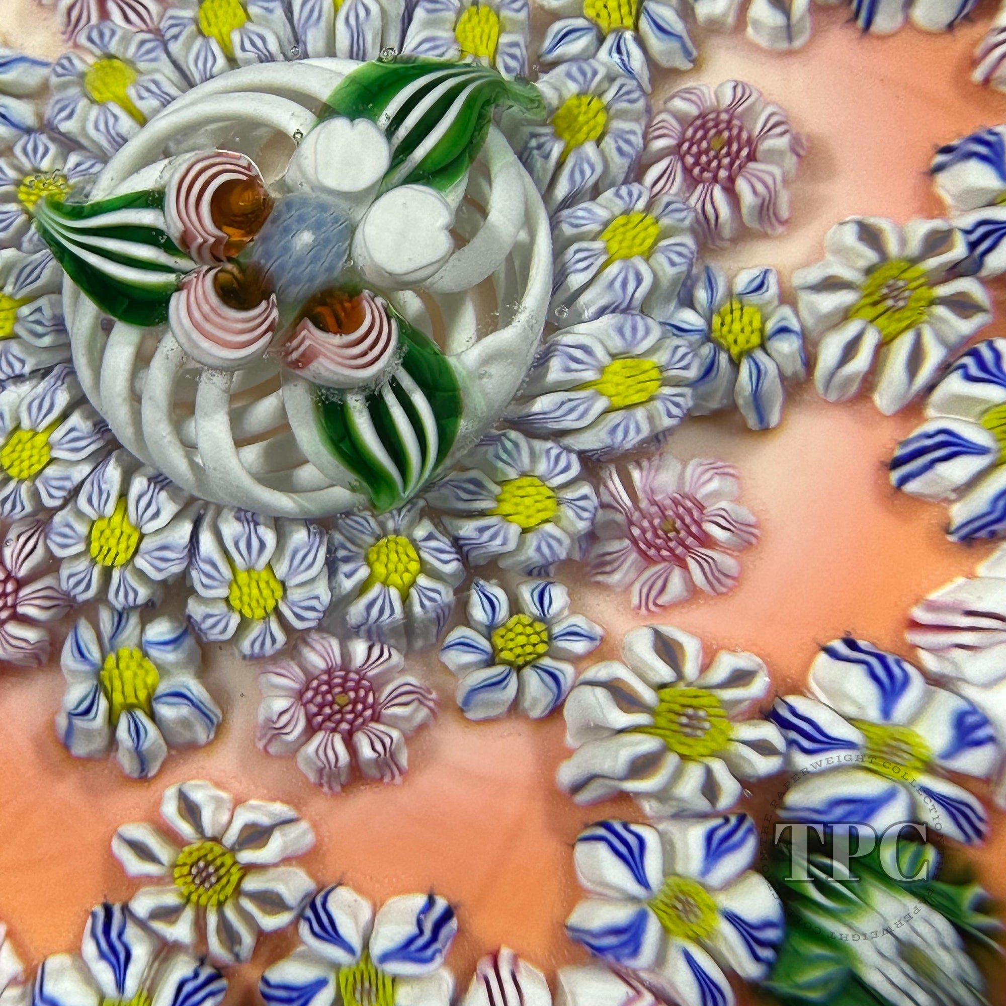Collaborative Sue Fox & Drew Ebelhare 2016 Glass Art Paperweight Patte
