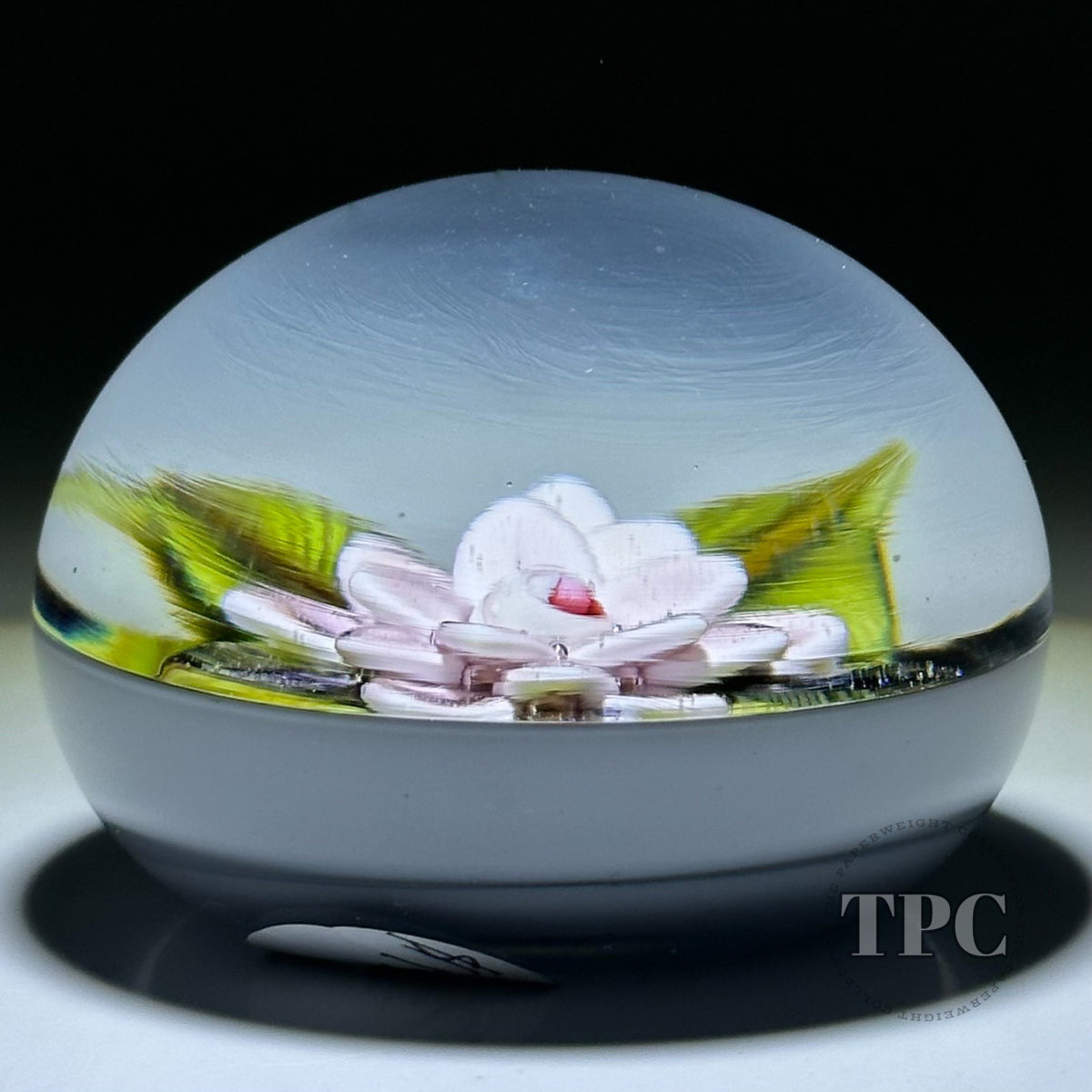 William Manson 2023 Art Glass Paperweight Flamework Pink Clematis on P