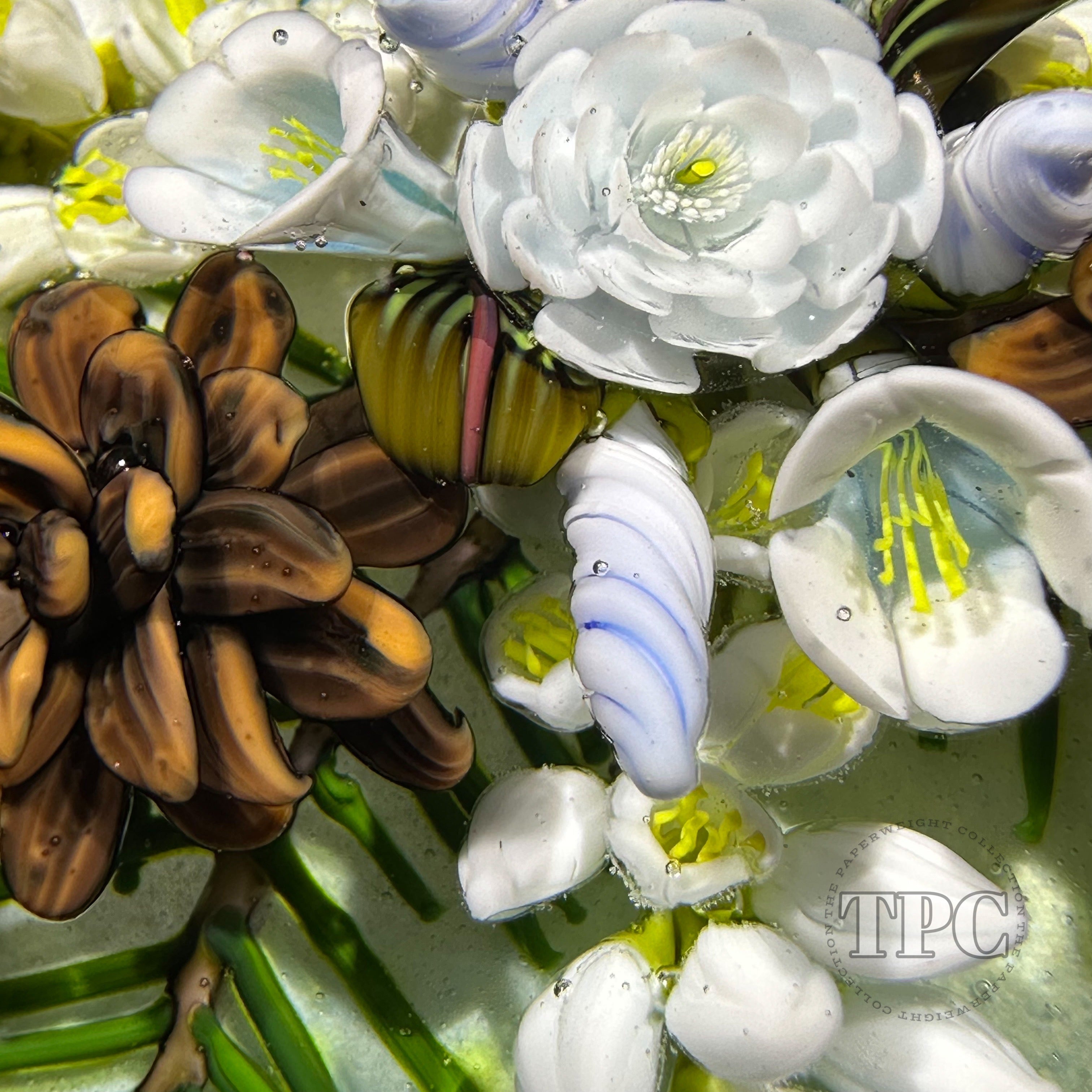 Cathy Richardson 2023 Glass Art Paperweight Flamework Winter White Flo