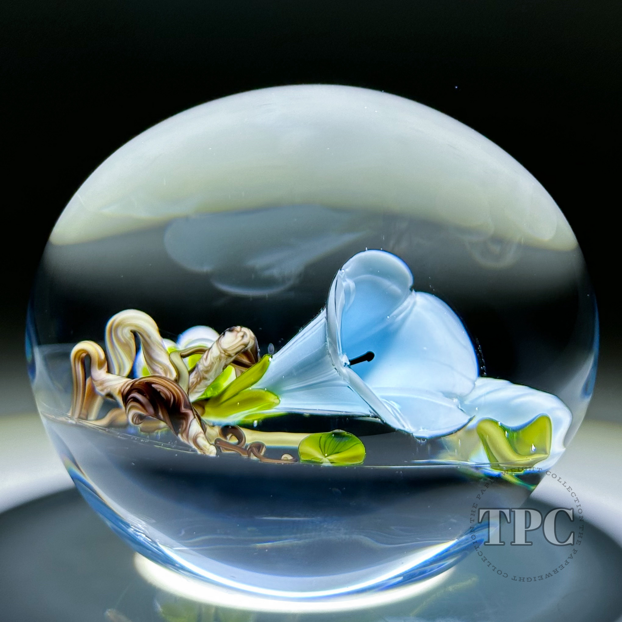 Victor Trabucco 1993 Glass Art Paperweight Flamework Blue Morning Glor