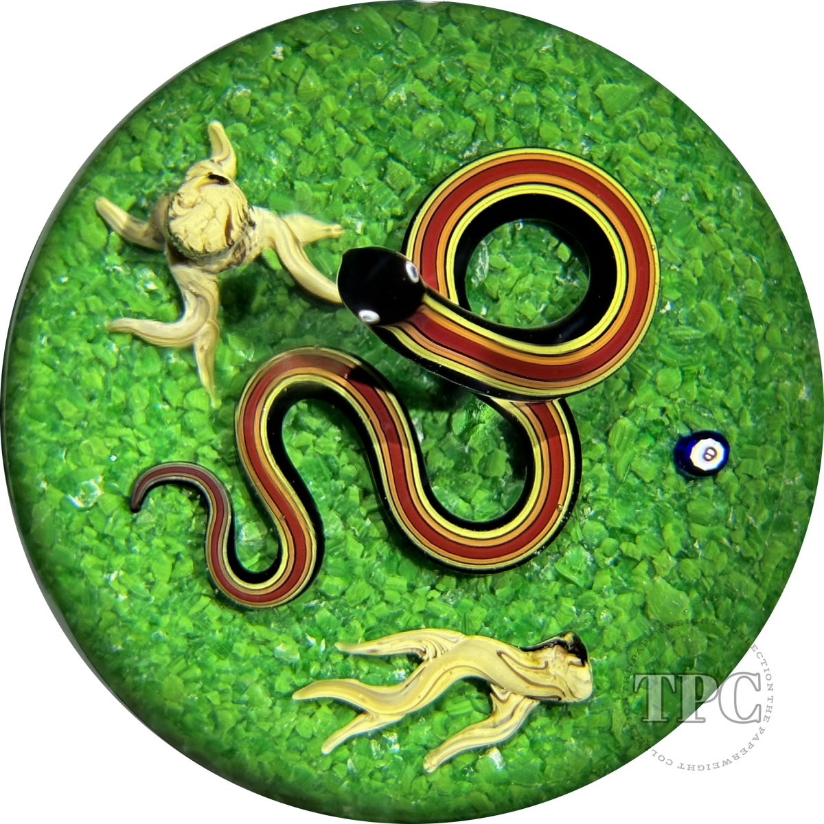 Bob Banford Glass Art Paperweight Flamework Stripped Snake on Green