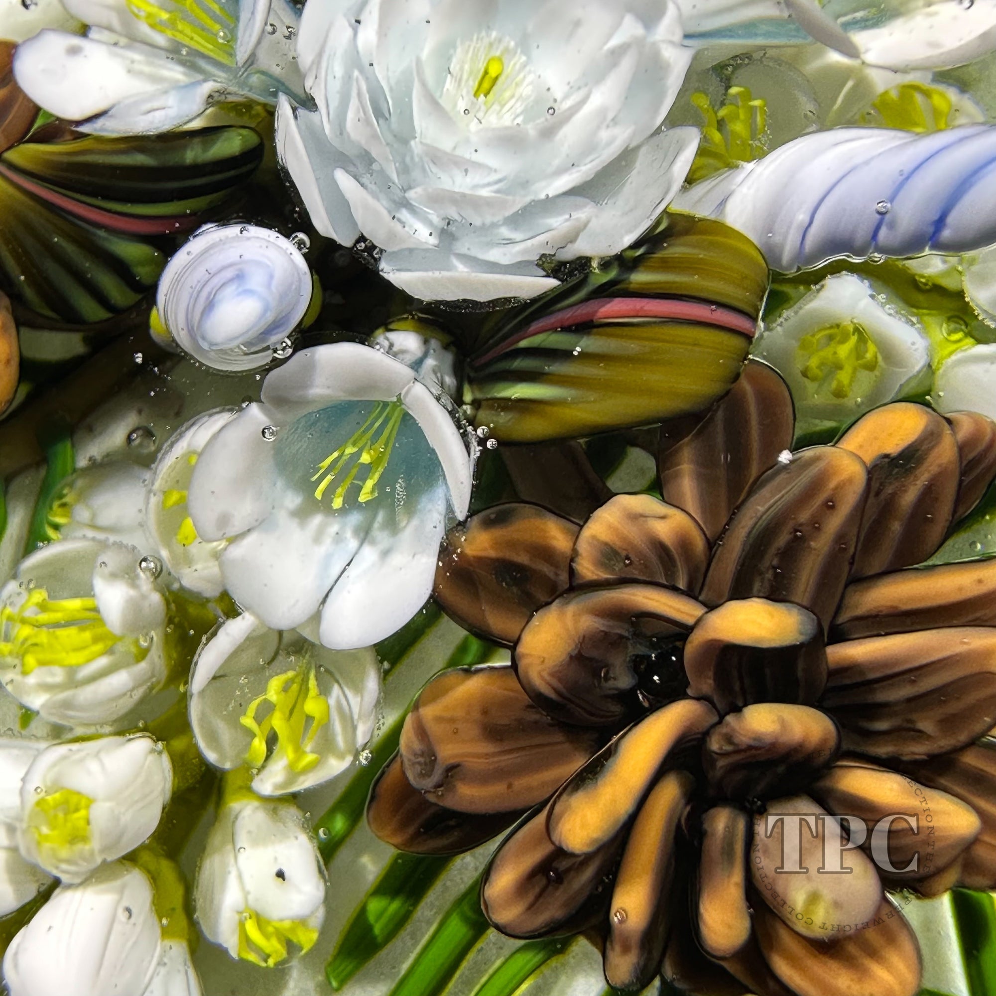 Cathy Richardson 2023 Glass Art Paperweight Flamework Winter White Flo