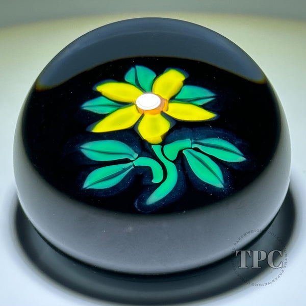 William Manson 2023 Art Glass Paperweight Flamework Yellow Daisy on Da