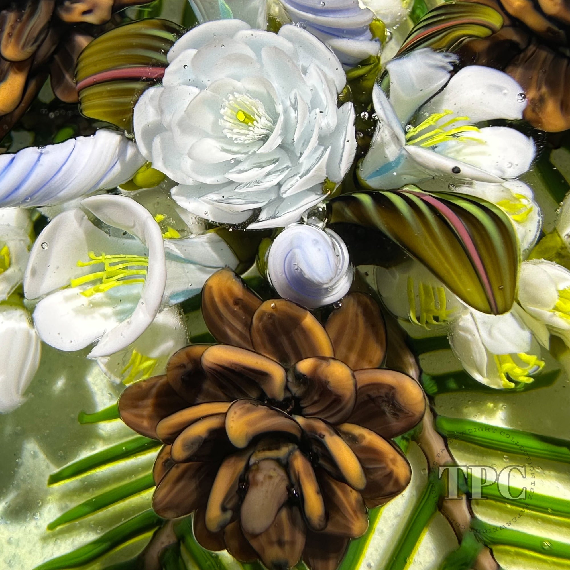 Cathy Richardson 2023 Glass Art Paperweight Flamework Winter White Flo