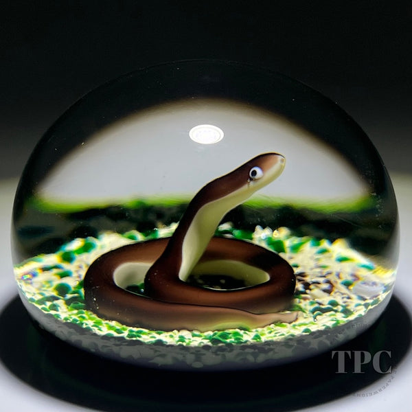 Baccarat 1979 LE Glass Art Paperweight Flamework Snake on Mottled Moss