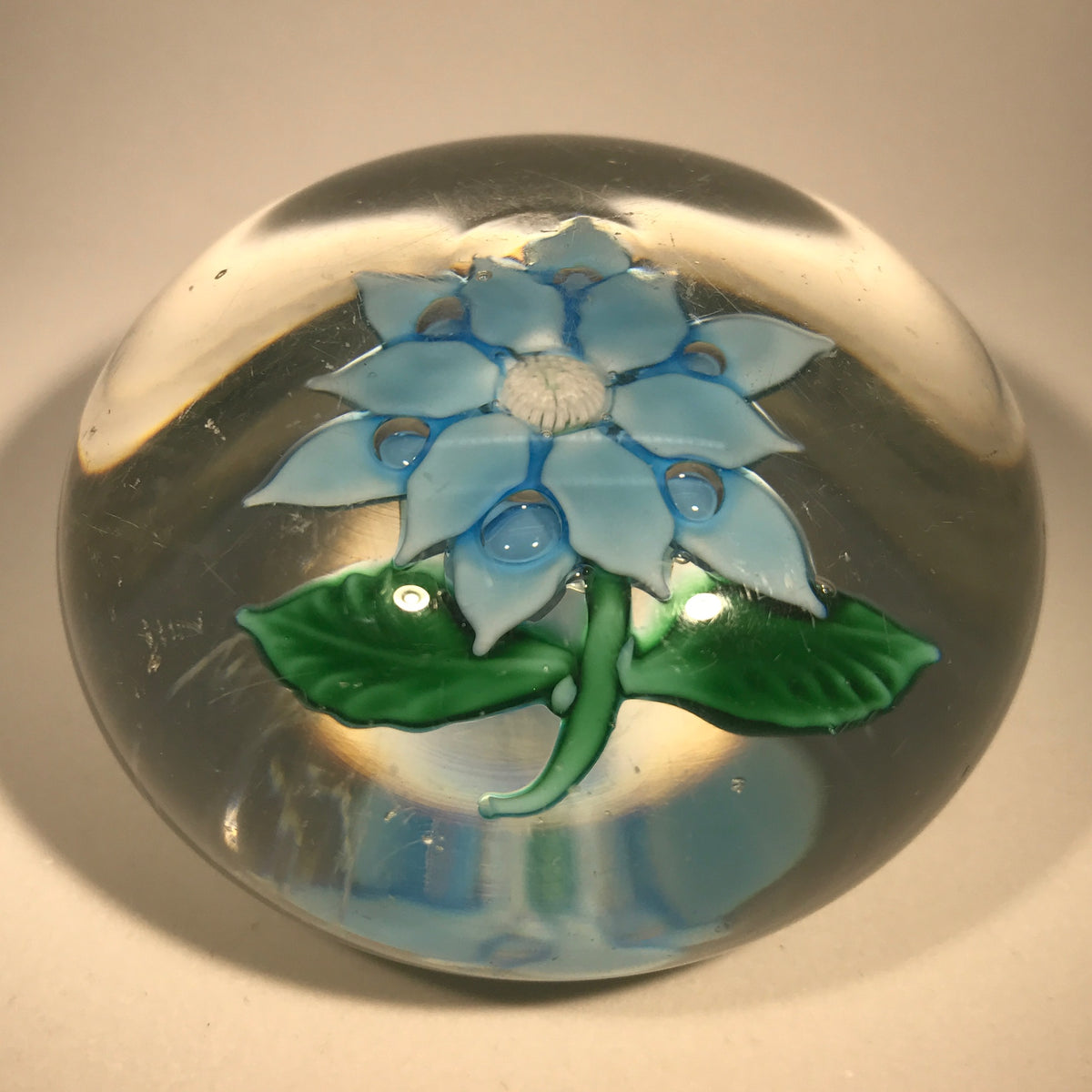 Antique Boston & Sandwich Art Glass Paperweight Lampwork Blue Poinsett