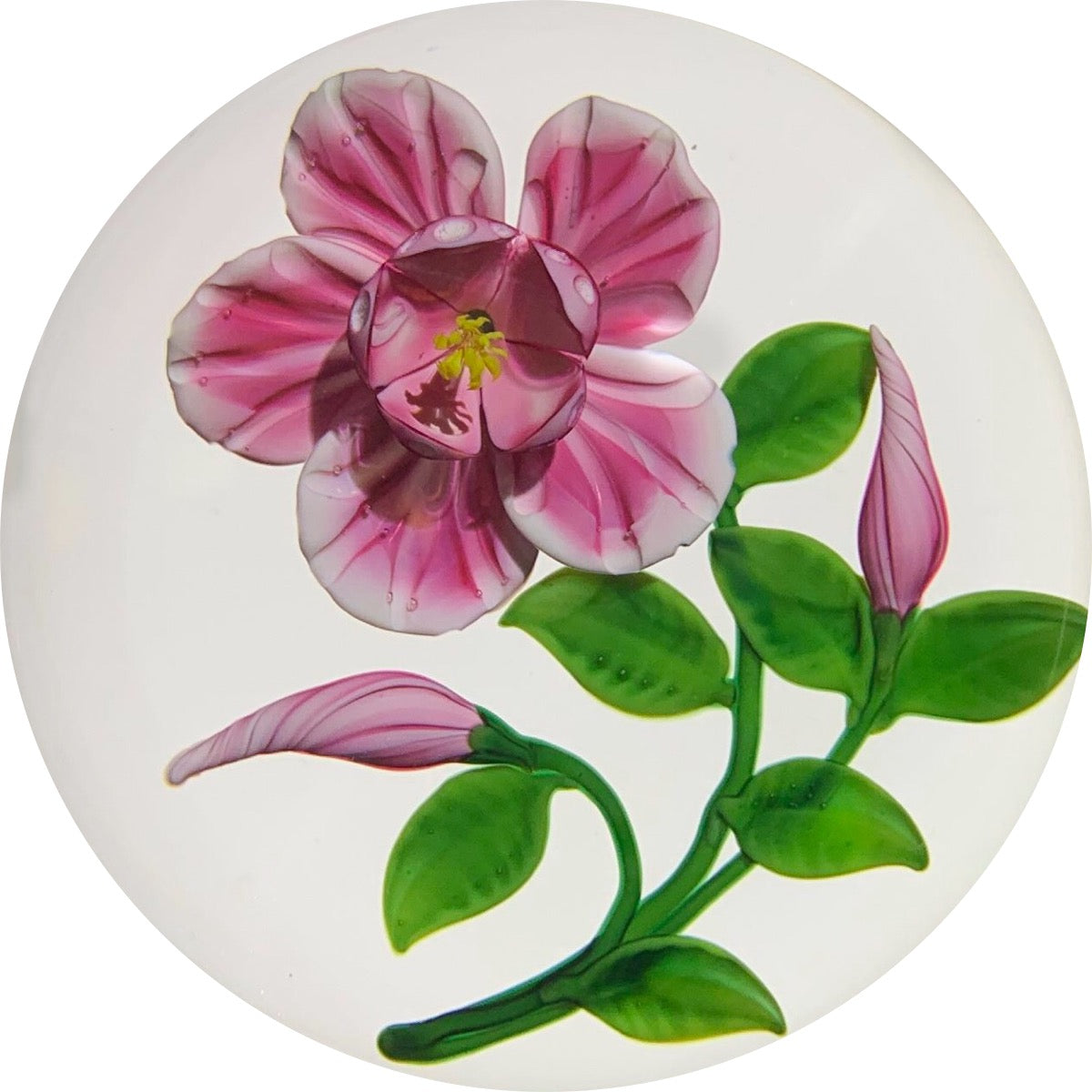 Randall Grubb 1995 Lampwork Pink Hibiscus with Two Buds On Clear Groun