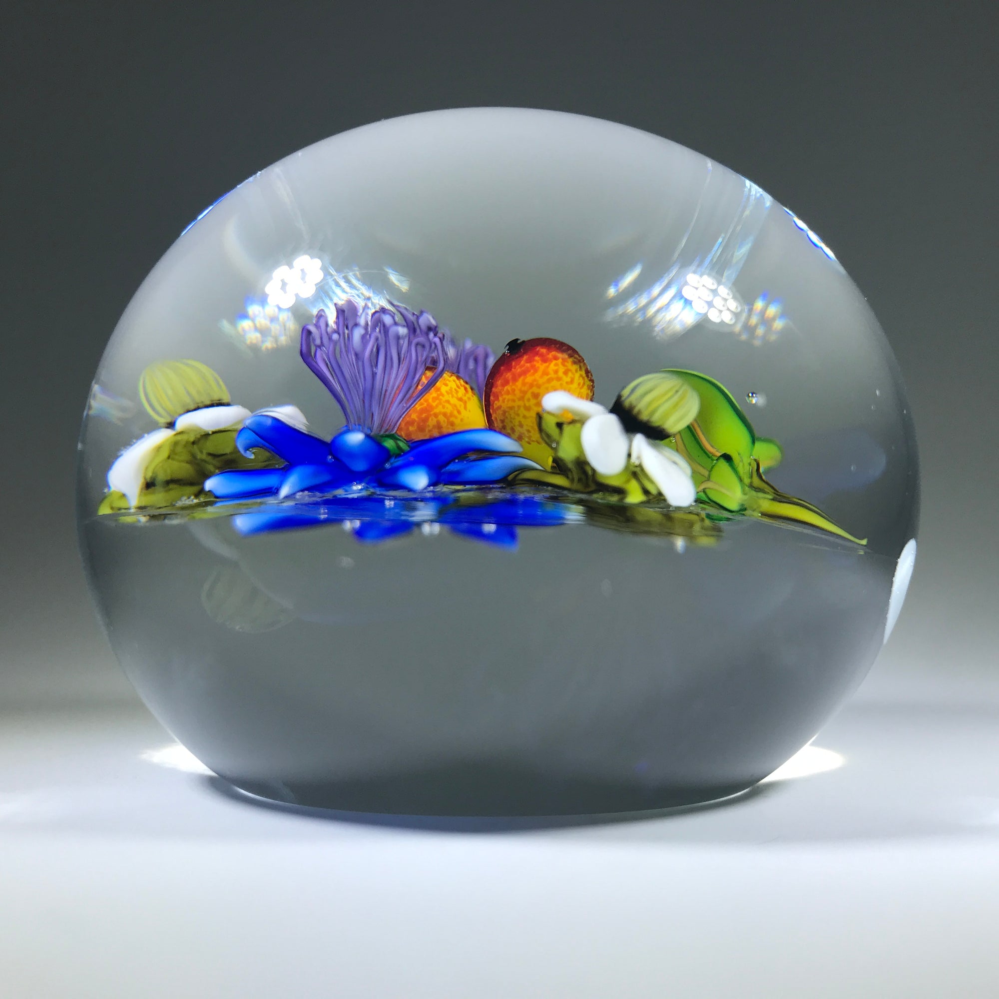 Signed Ken Rosenfeld Art Glass Paperweight Three Dimensional Lampwork