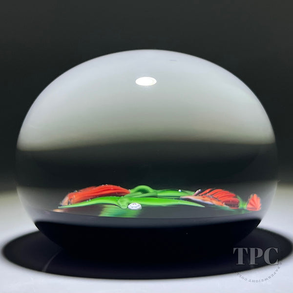 Baccarat 1983 LE Glass Art Paperweight Flamework Red Bell Flowers on T