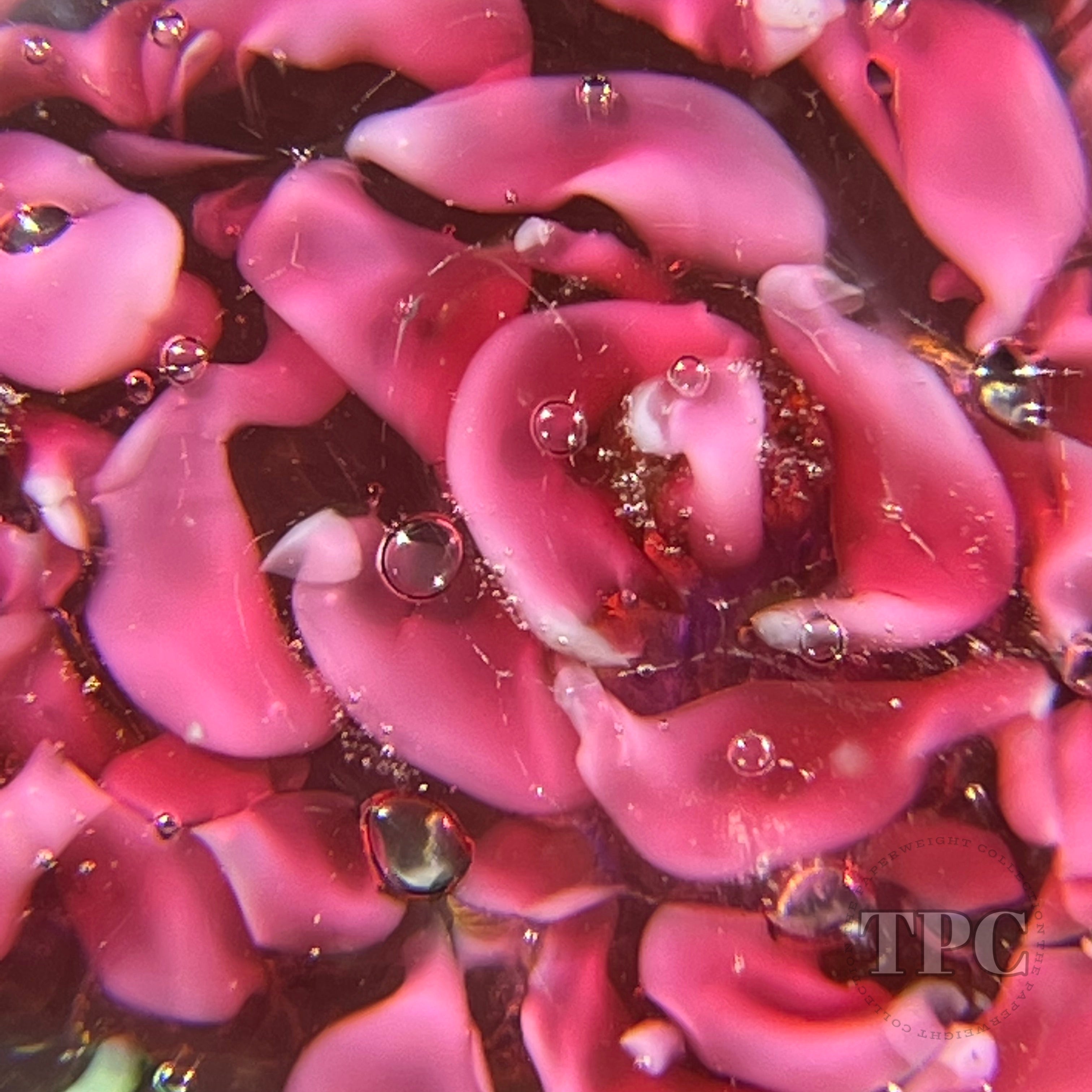 Rare Antique Union Glass Company Art Glass Paperweight Lampwork Red Ro