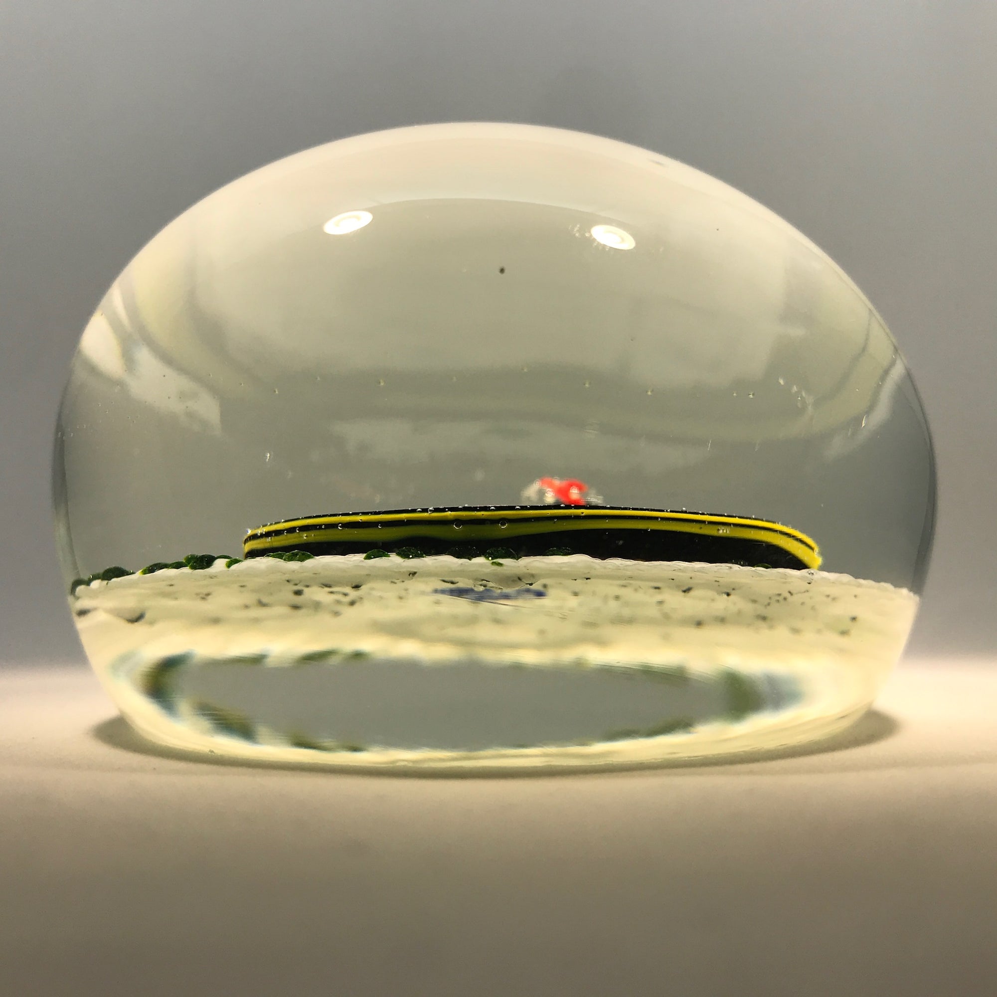 Vintage John Gentile Henry Johnson Art Glass Paperweight Snake & Ladyb