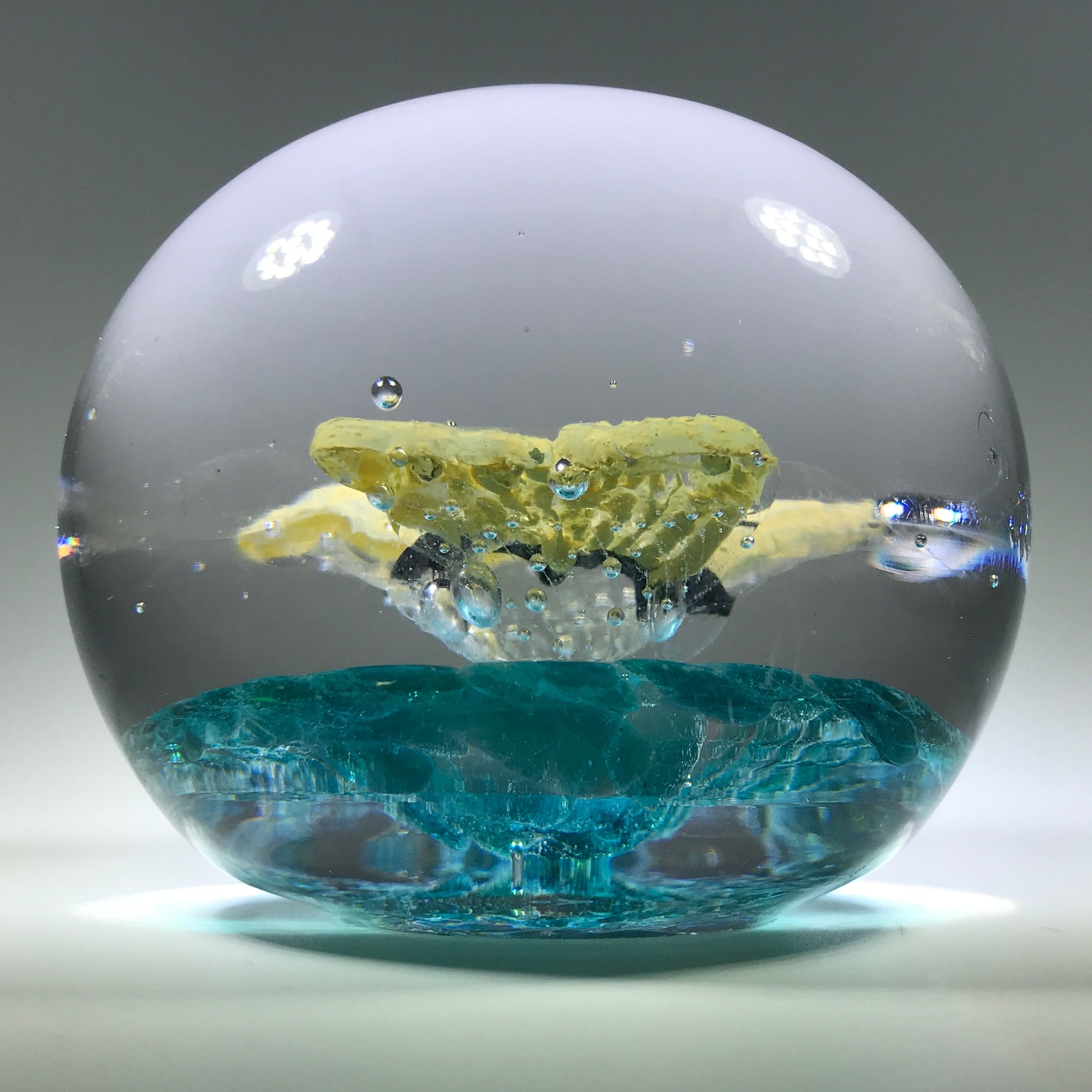 Glass Paperweight 1984