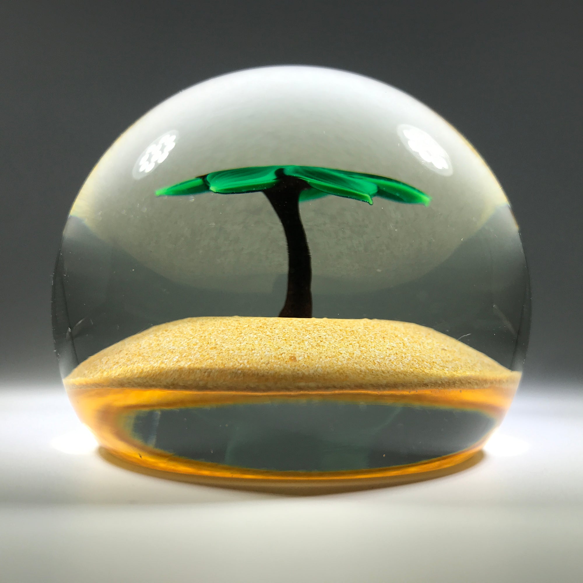 William Manson Scotia Art Glass Paperweight Lampwork Palm Tree Tropica