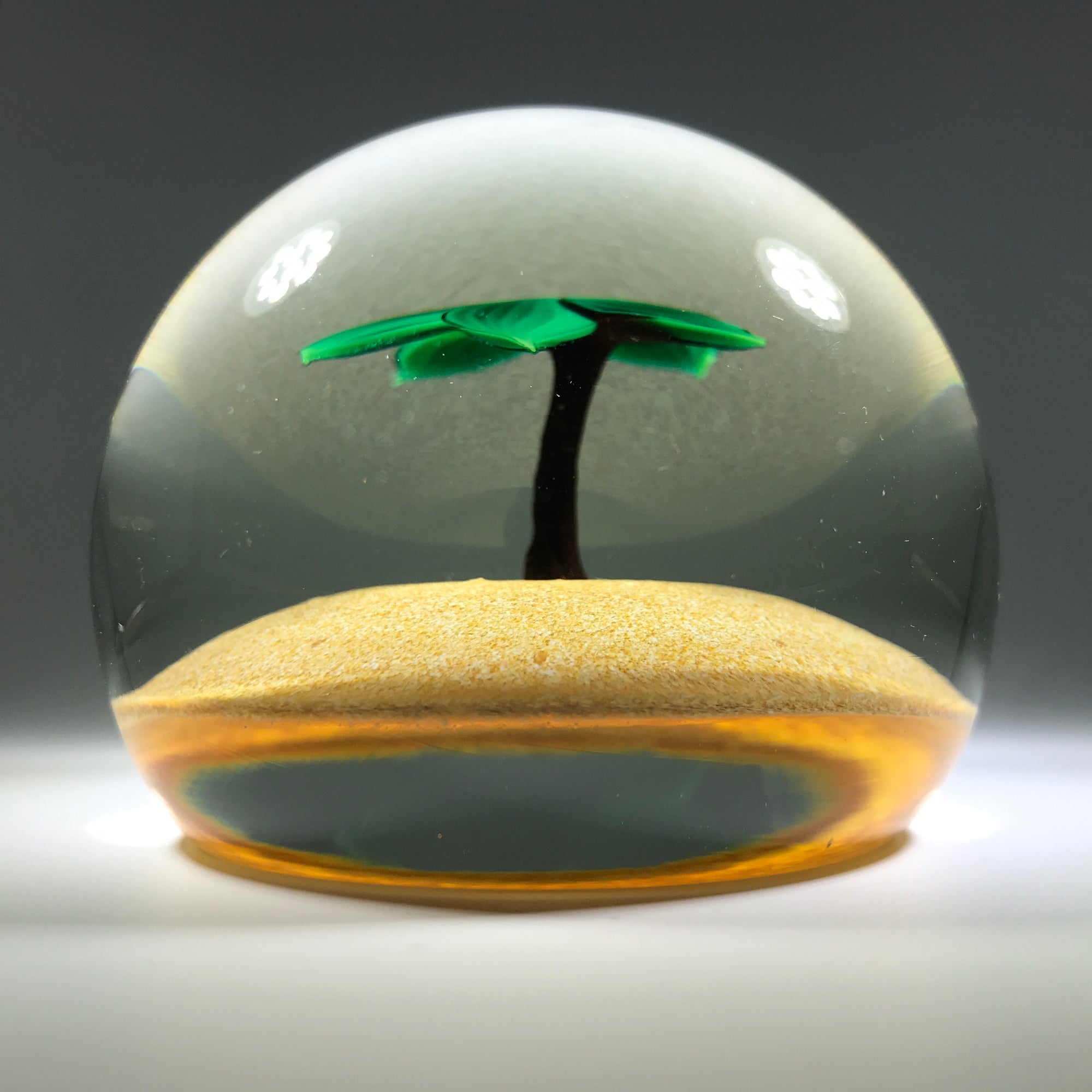 William Manson Scotia Art Glass Paperweight Lampwork Palm Tree Tropica