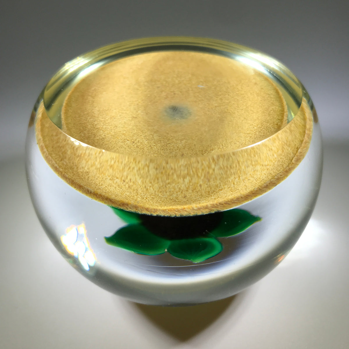 William Manson Scotia Art Glass Paperweight Lampwork Palm Tree Tropica