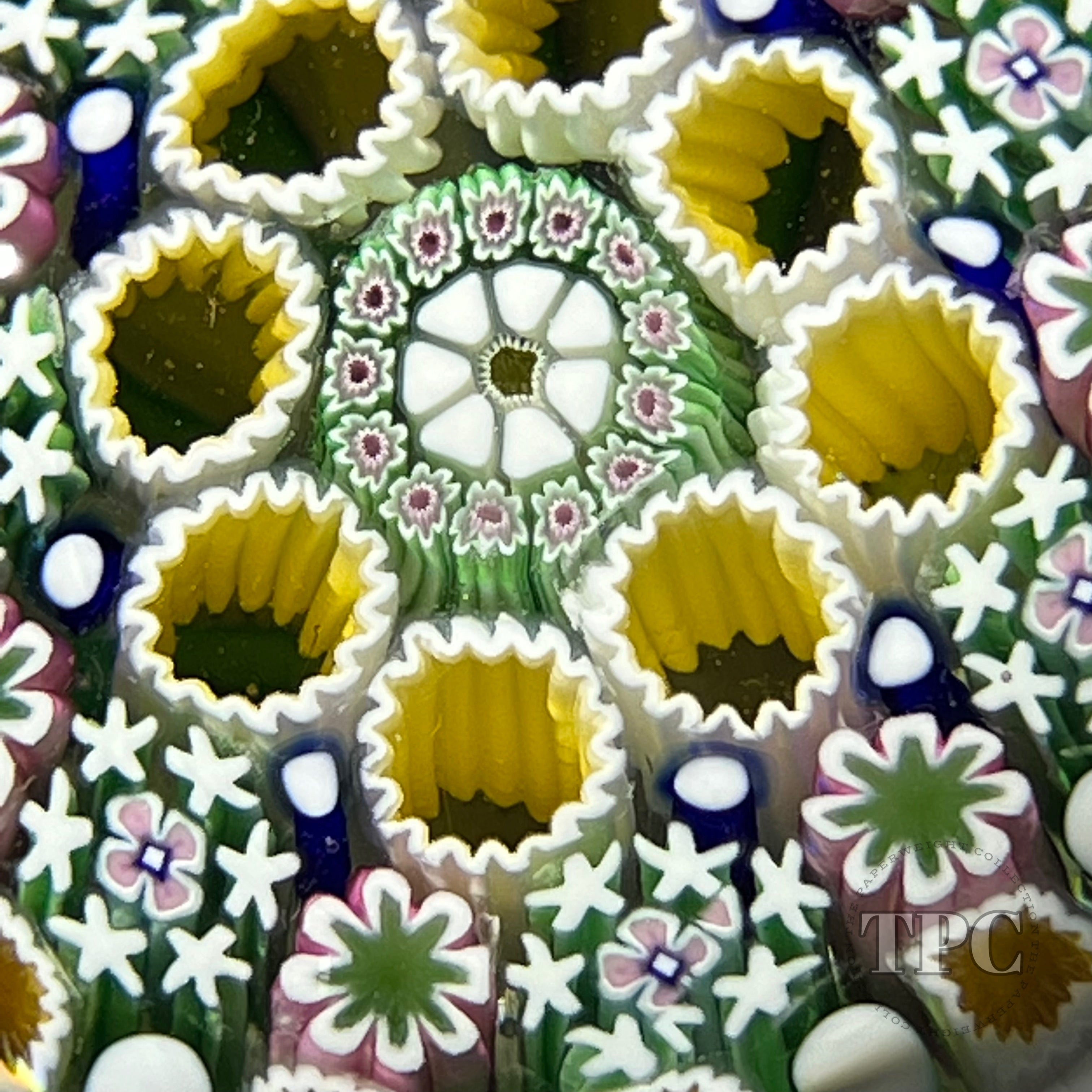 Damon MacNaught 2022 Glass Art Paperweight Complex Concentric Millefio