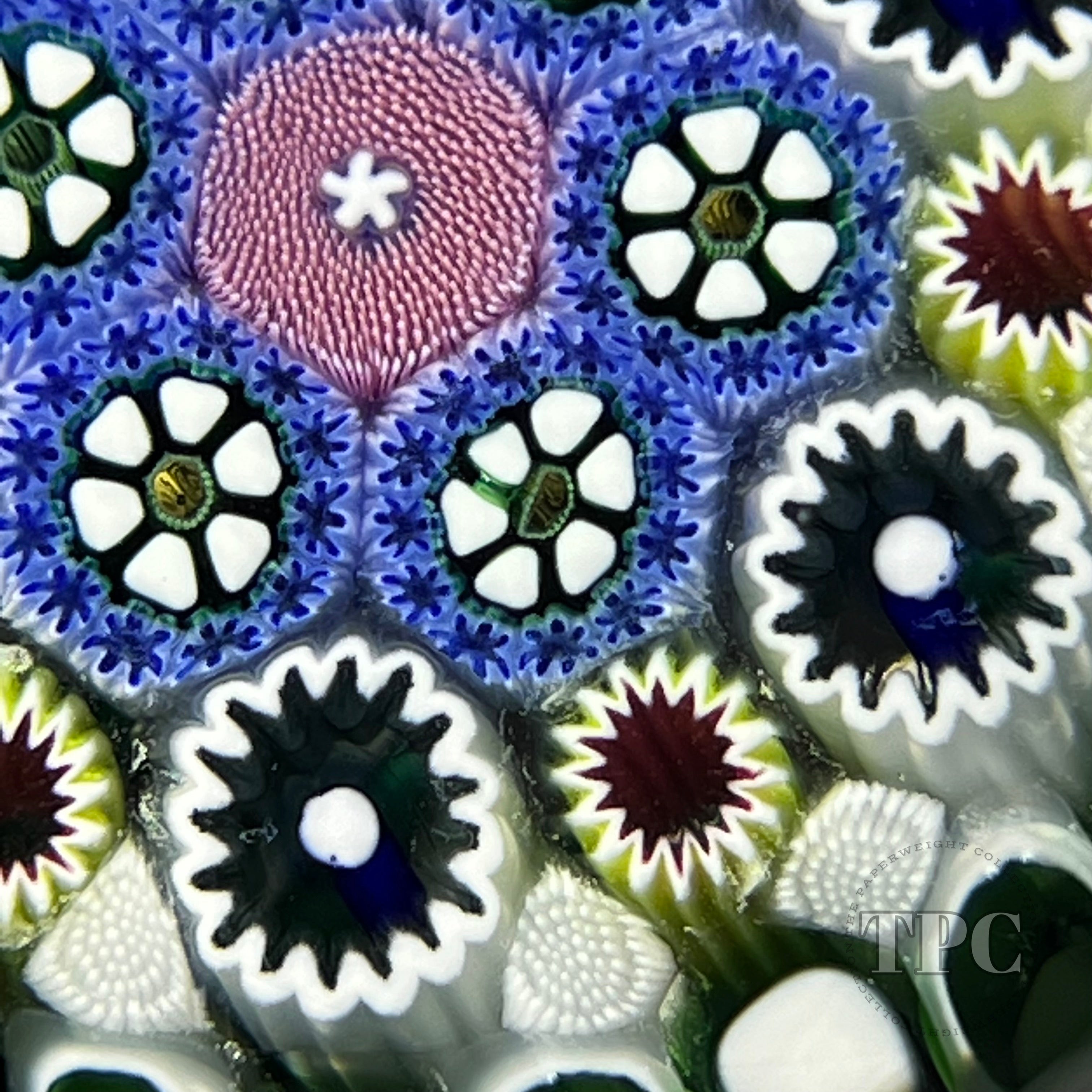 Damon MacNaught 2022 Glass Art Paperweight Complex Concentric Millefio