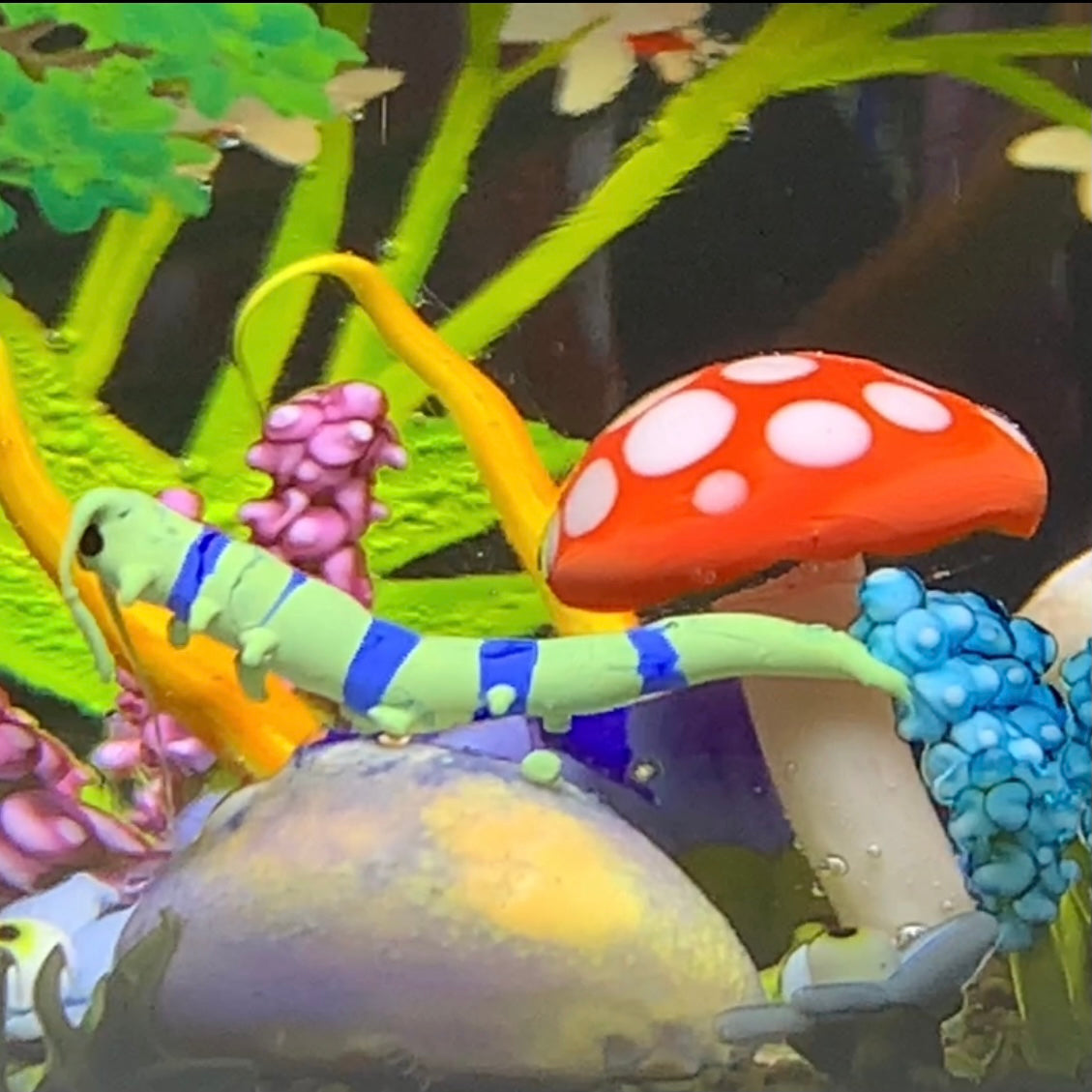 Cathy Richardson & Alison Ruzsa 2020 Collaboration "Alice Meets the Ca