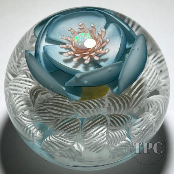 Jared DeLong Glass Art Paperweight Flamework Blue Blossom with Opal ov