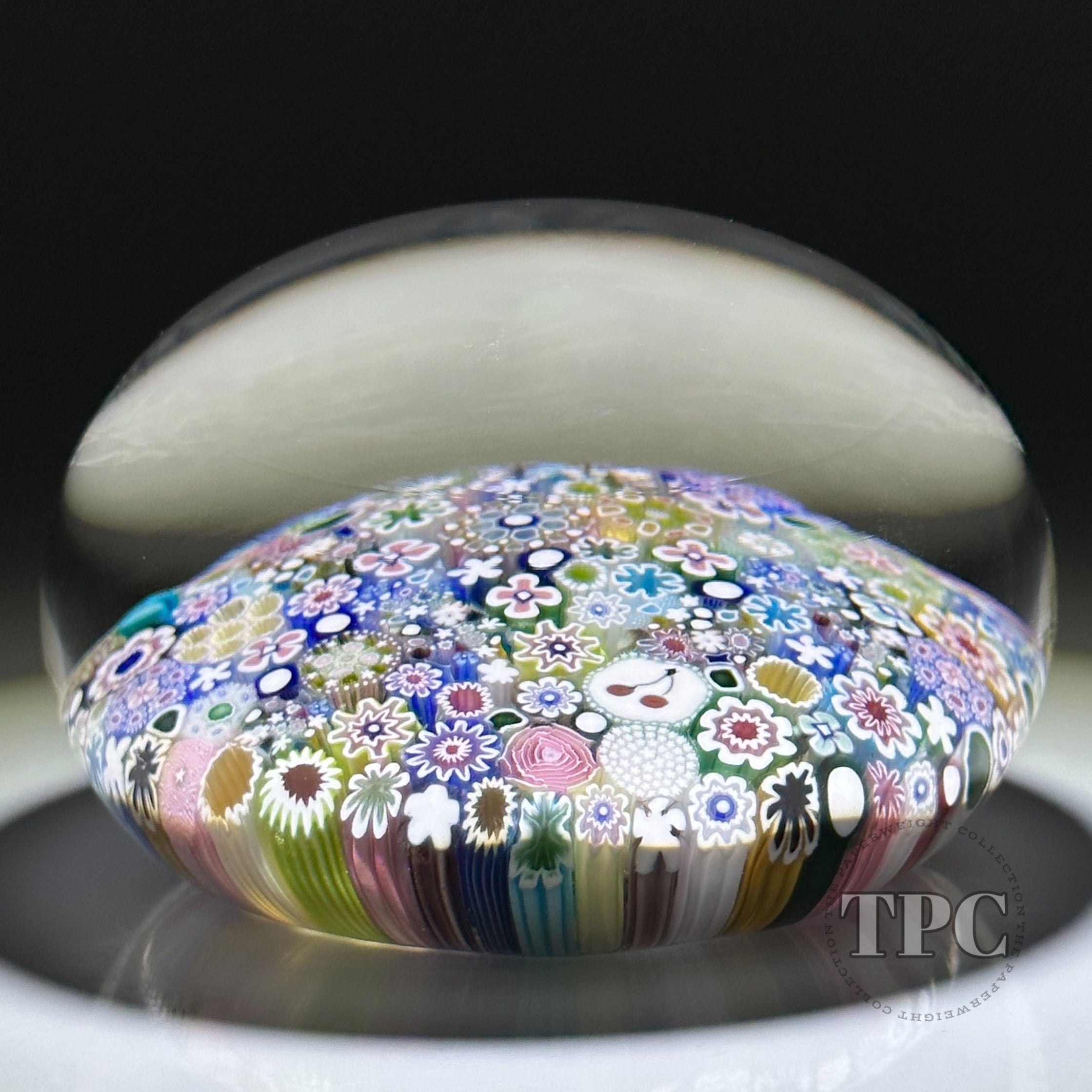 Magnum Damon MacNaught 2023 Glass Art Paperweight Closepack Complex Mi