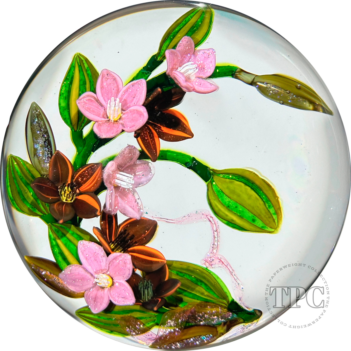 Colin Richardson 2022 Glass Art Paperweight Flamework Pink Dichroic Cr