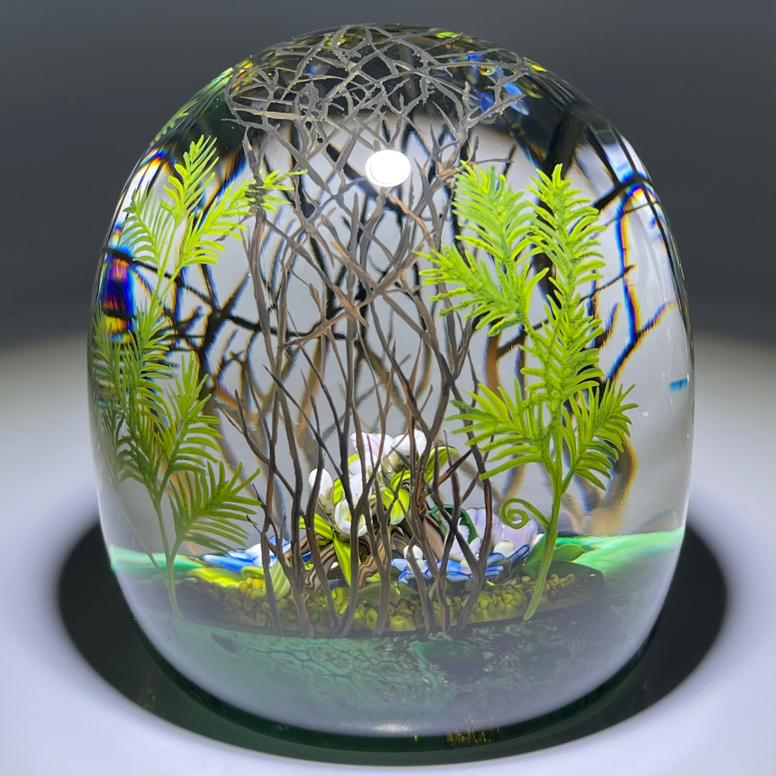 Cathy Richardson & Alison Ruzsa 2021 "The Bower Bird" Encapsulated Fla