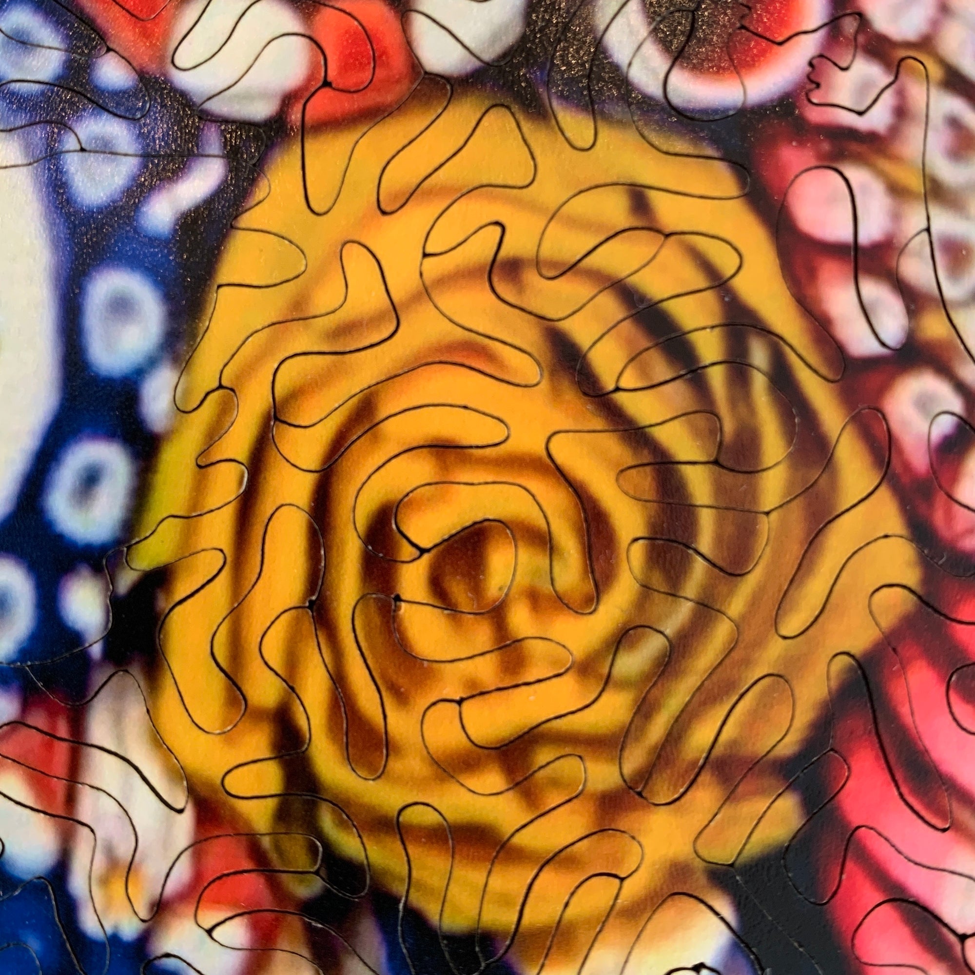 Michael Hunter 2019 Art Glass Paperweight & Matching Custom-Cut Wooden