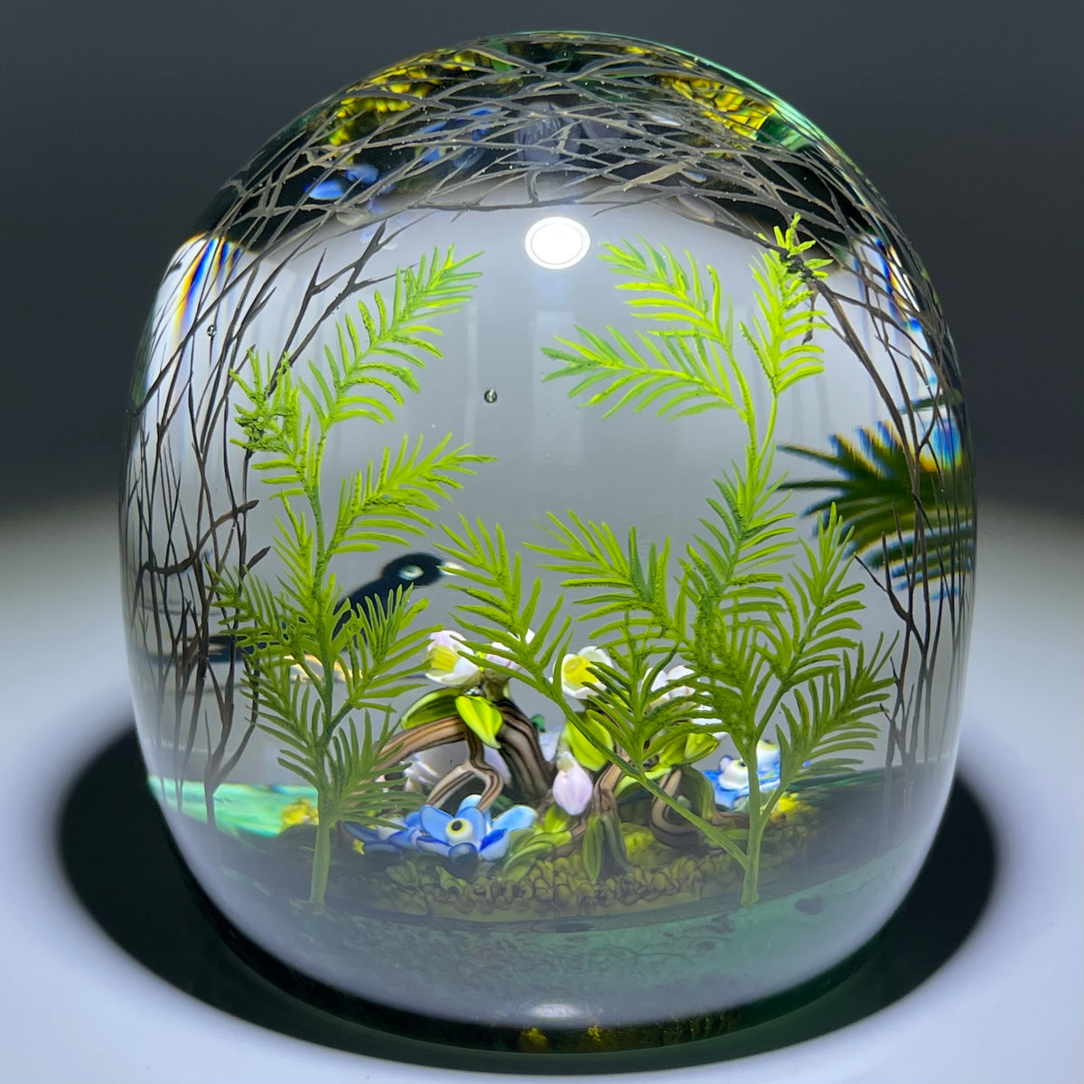 Cathy Richardson & Alison Ruzsa 2021 "The Bower Bird" Encapsulated Fla