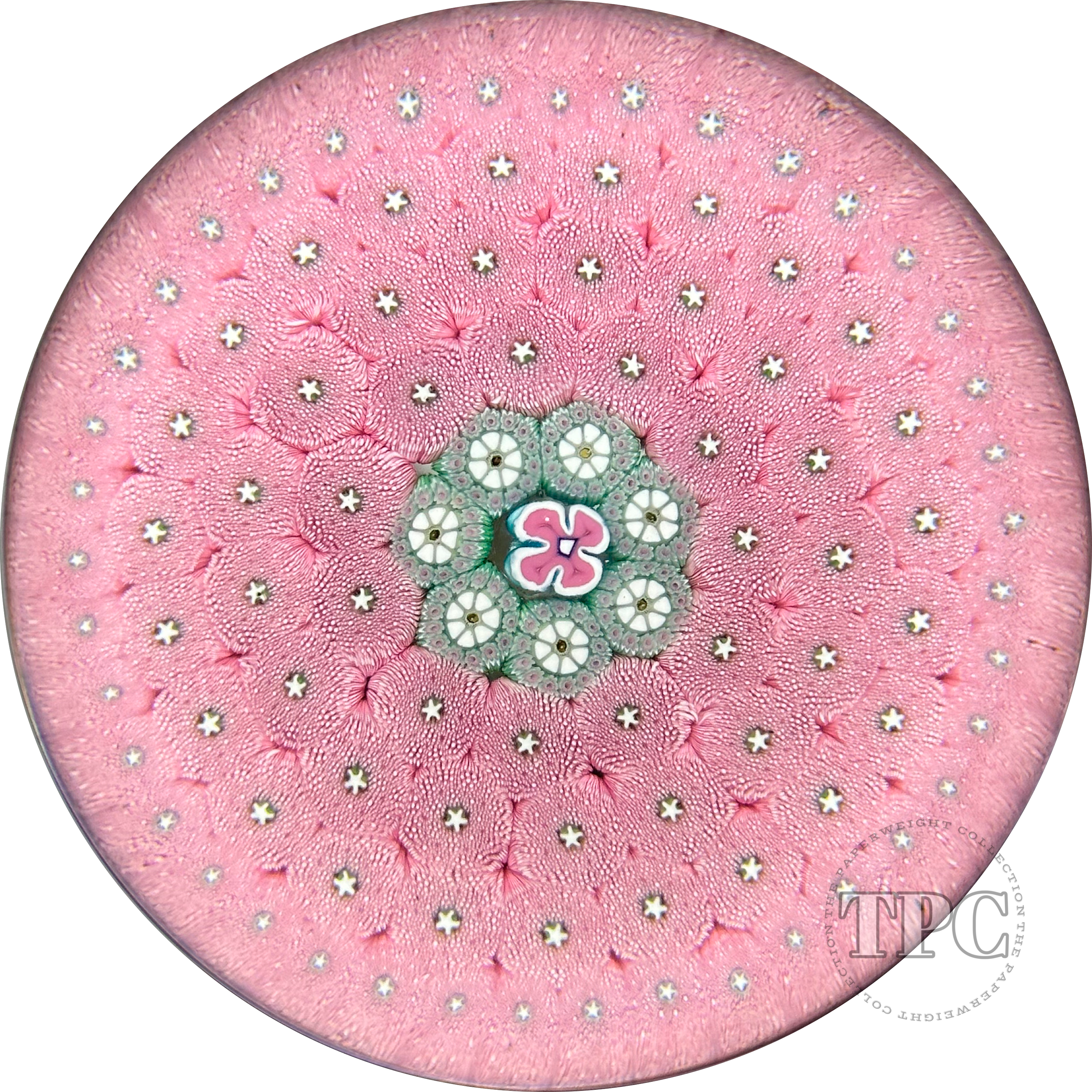 Magnum Damon MacNaught 2023 Glass Art Paperweight Complex Pink Millefi