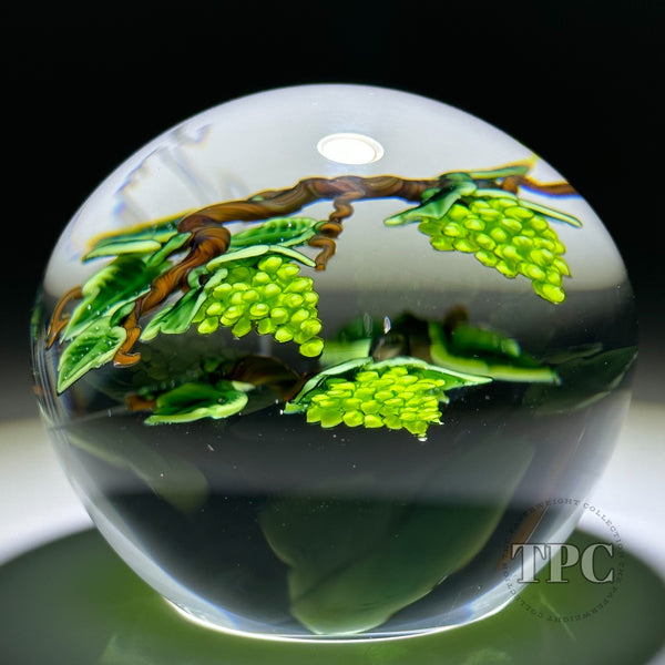 Randall Grubb 1991 Glass Art Paperweight Compound Flamework Chardonnay